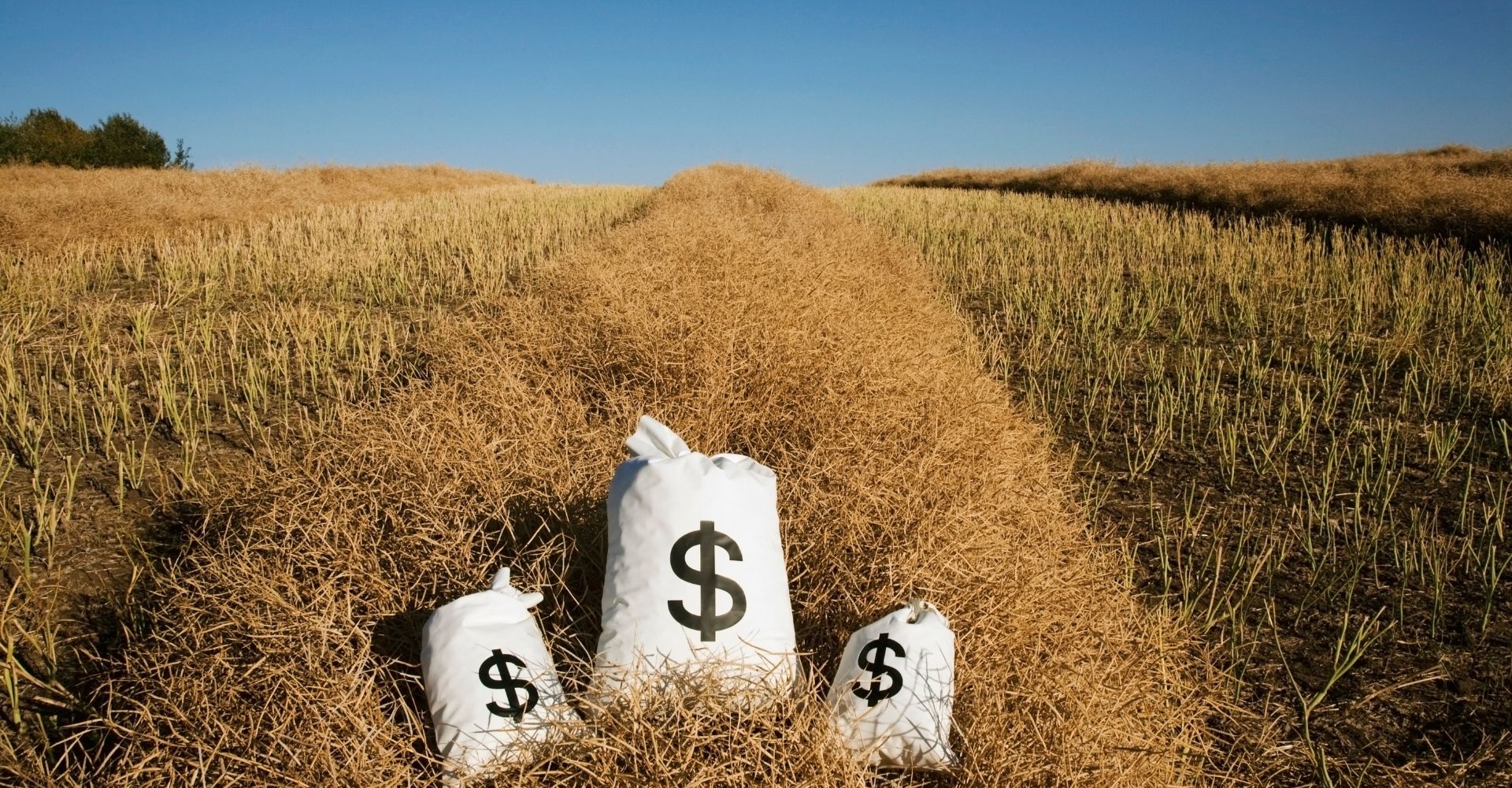 Land Appreciation’s Effect on Investment Return - Learn More